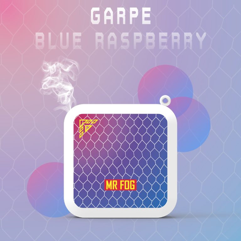 MR FOG MINI Grape Blue Raspberry - Mr Fog - Enjoy To The Last Puff
